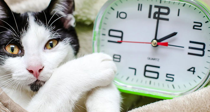 Počinje zimsko računanje vremena, evo kad pomičemo kazaljke na satu