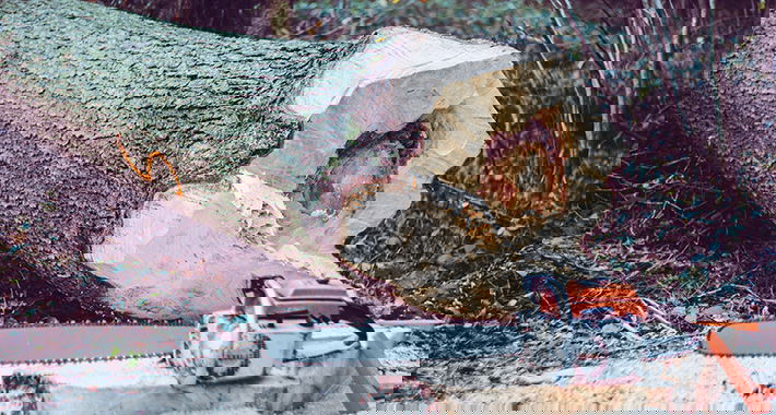 Povrijedio se pri sječi šume, pa preminuo u kolima Hitne pomoći