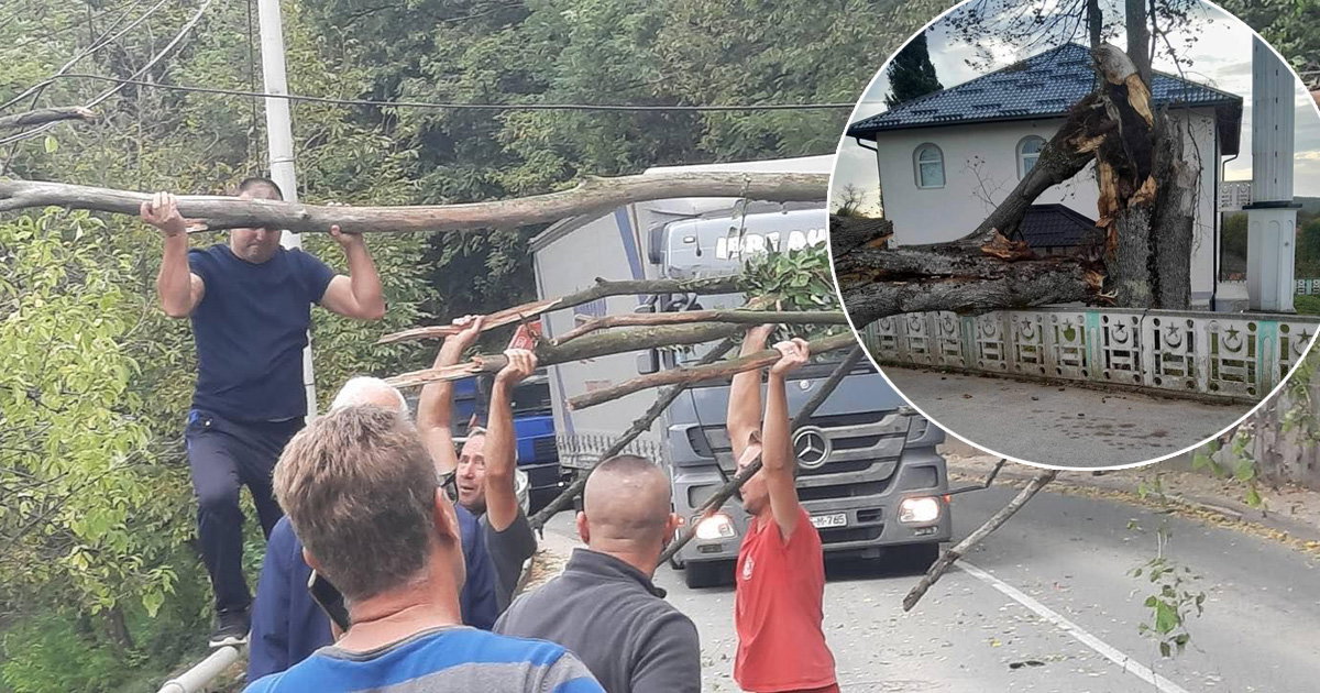 Snažan vjetar pravi probleme širom BiH: Oborena stabla, zaustavljen ...