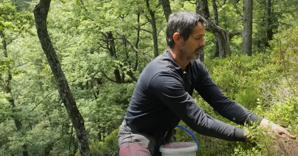 Otac četvoro djece iz BiH berući voće s planine sagradio kuću i kupio ...