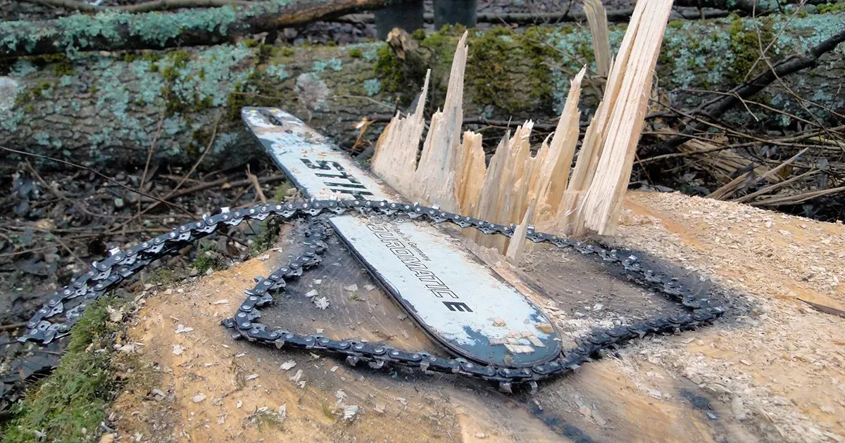 Sječa šume završila tragedijom, policija pronašla beživotno tijelo muškarca