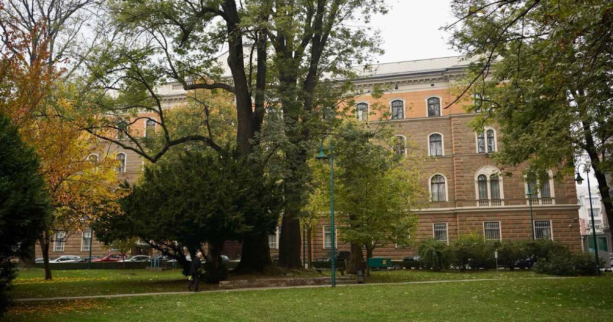 Pozivao na ubistvo "nevjernika": Simbad Bajrektarević "Bambi" tvrdi da ...