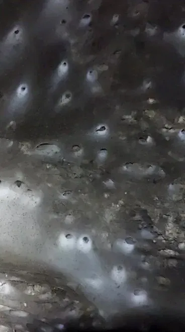 U špilji na Balkanu našli najveću paukovu mrežu na svijetu